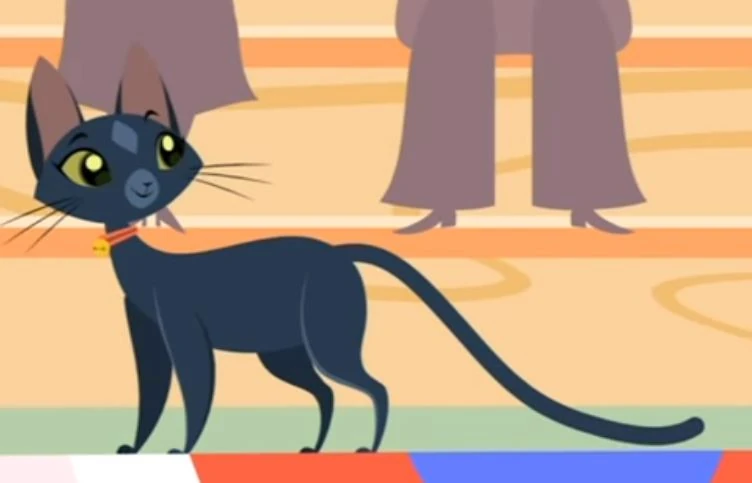 Black Cat | Willa's Wild Life Wiki | Fandom