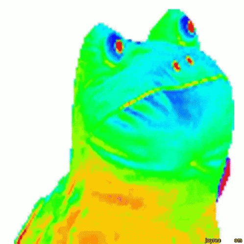 MLG Frog GIF | WillBoss999 Wiki | Fandom