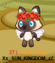 Cloudwing | WillowClan Wiki | Fandom