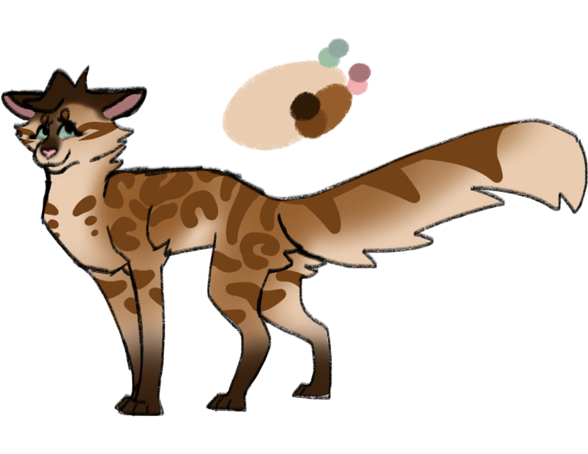 Cinderpaw | WillowClan Roleplay Wiki | Fandom