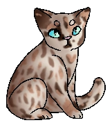 Cherrypaw | WillowClan Roleplay Wiki | Fandom