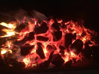 Ember that Rises from Ashes | WillowClan Roleplay Wiki | Fandom