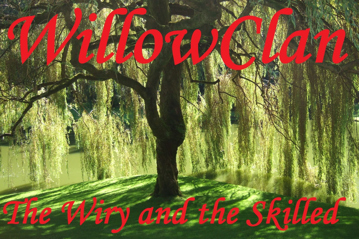 WillowClan | WillowClan Roleplaying Wiki | Fandom