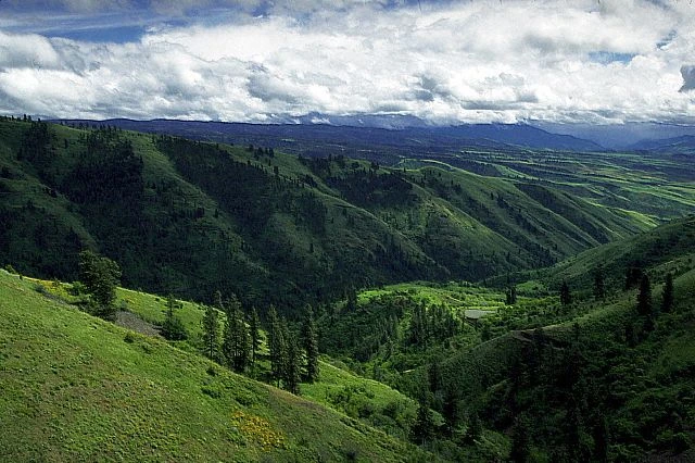 Whaleback | Willowdale Wiki | Fandom