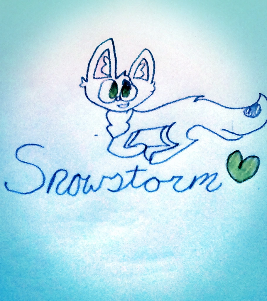 Snowstorm | Willowstep's Wiki | Fandom