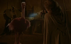 Ostrich | Willow Wiki | Fandom