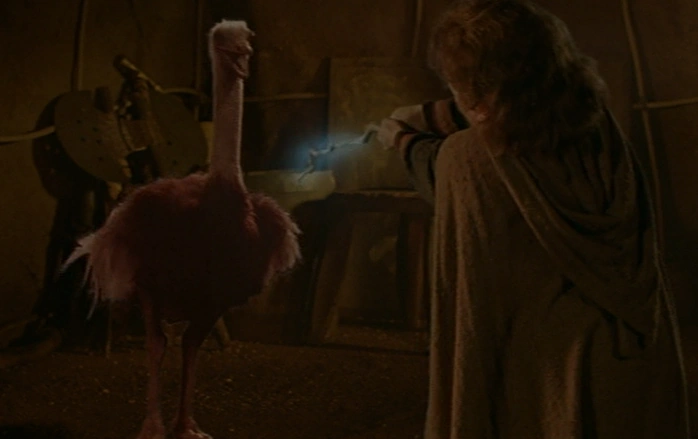 Ostrich | Willow Wiki | Fandom