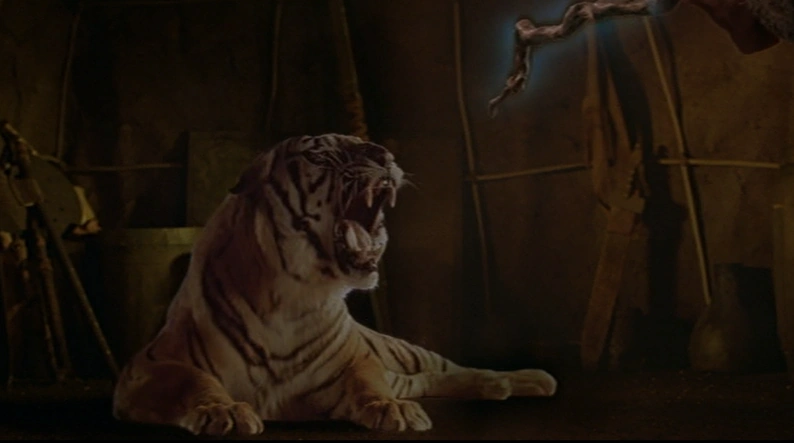 Tiger | Willow Wiki | Fandom