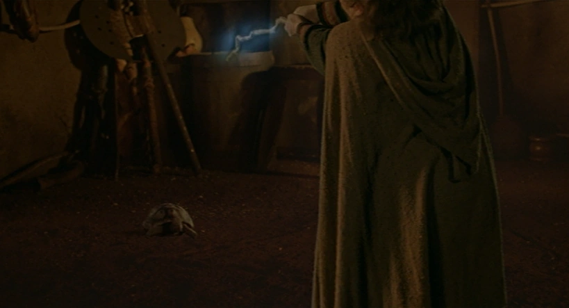 Turtle | Willow Wiki | Fandom