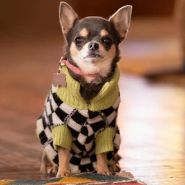 Betty | Will Trent Wiki | Fandom