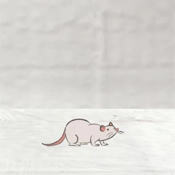 Tomcat Disposables | Will Wood Wiki | Fandom