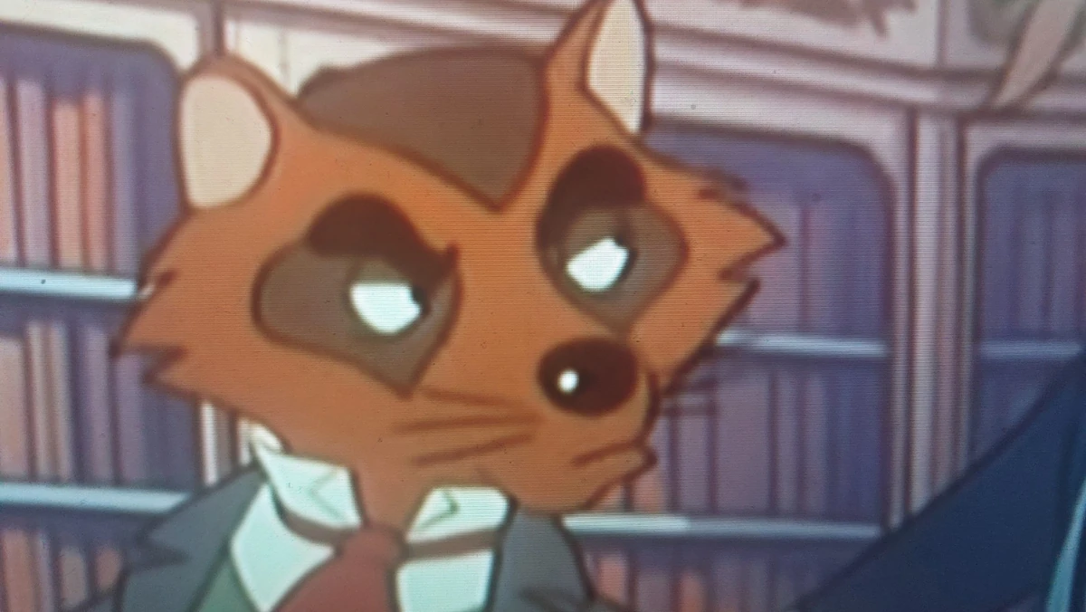 Johnson Racoon | Around the World with Willy Fog Wiki | Fandom