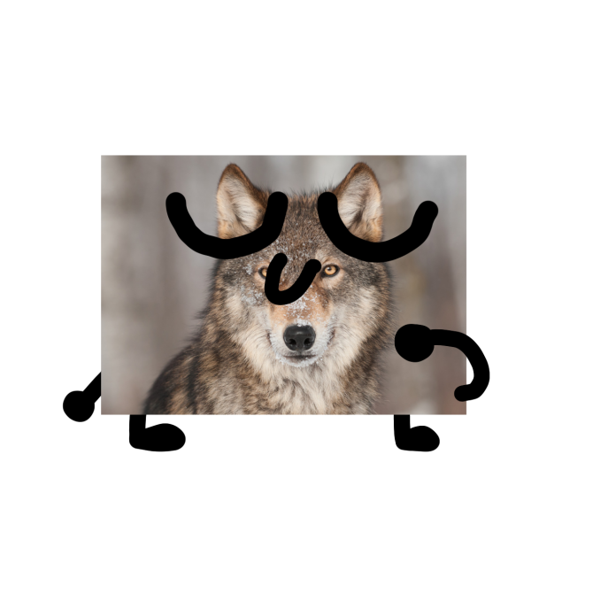 Wolf | Wilow's Object Show Universe Wiki | Fandom