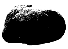 Century OS | Windows Never Released Вики | Fandom