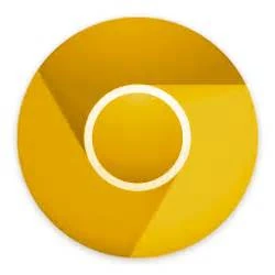 Google Chrome Canary | Microsoft Wiki | Fandom