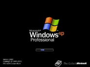 Windows XP Builds | Windows95 Wiki | Fandom