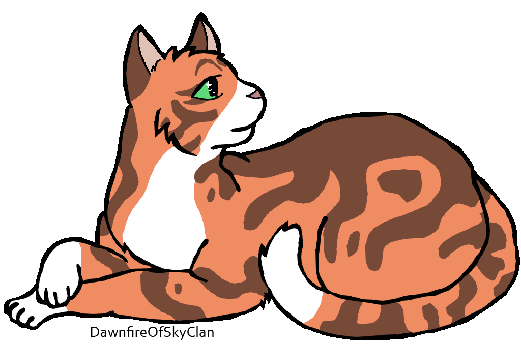 Maplestar | Windsplash's Wiki | Fandom