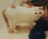 Nublado | Wine xd Wiki | Fandom