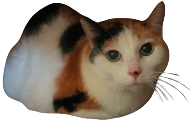 Perli | Wine xd Wiki | Fandom