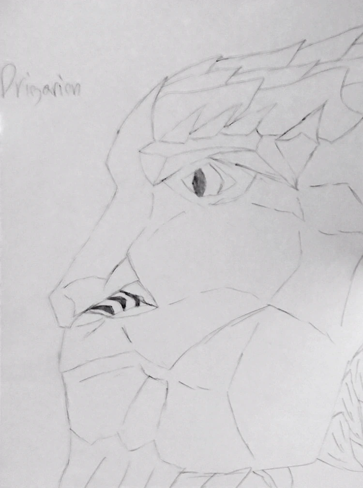 Drigarion | Wing Haven Wiki | Fandom