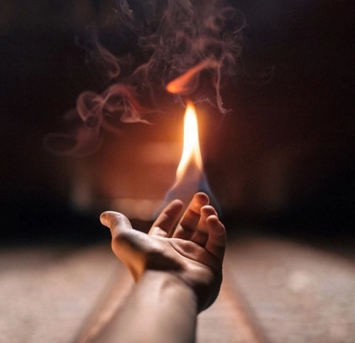 Category:Elements | Wing Haven Wiki | Fandom