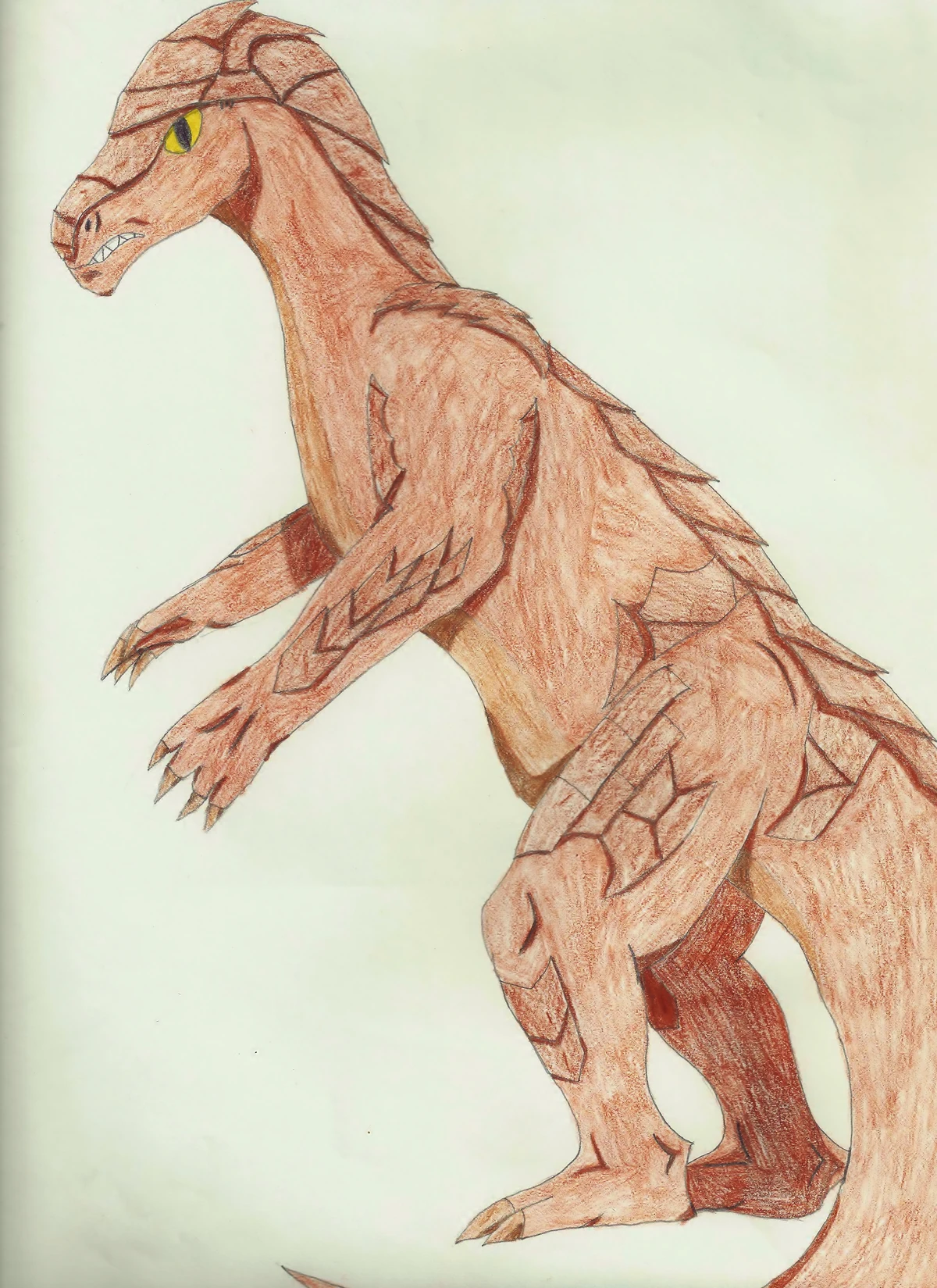 Sephalo | Wing Haven Wiki | Fandom