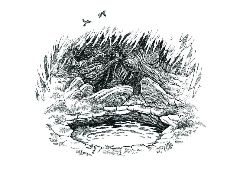 First Well | Wingfeather Saga Wiki | Fandom