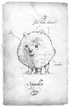 Fuzzy squeeblins | Wingfeather Saga Wiki | Fandom