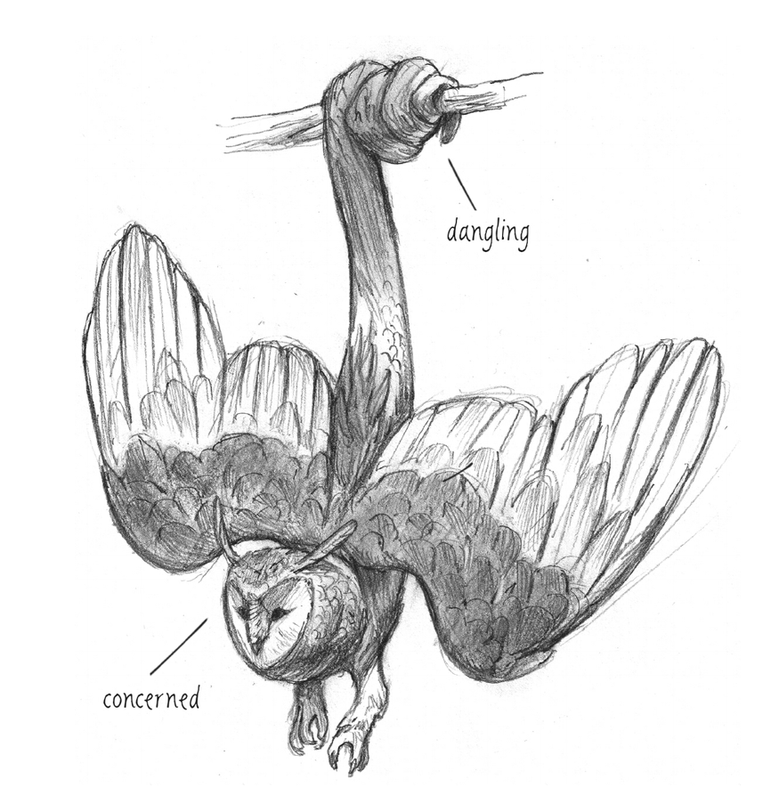 Ickaws Wingfeather Saga Wiki Fandom