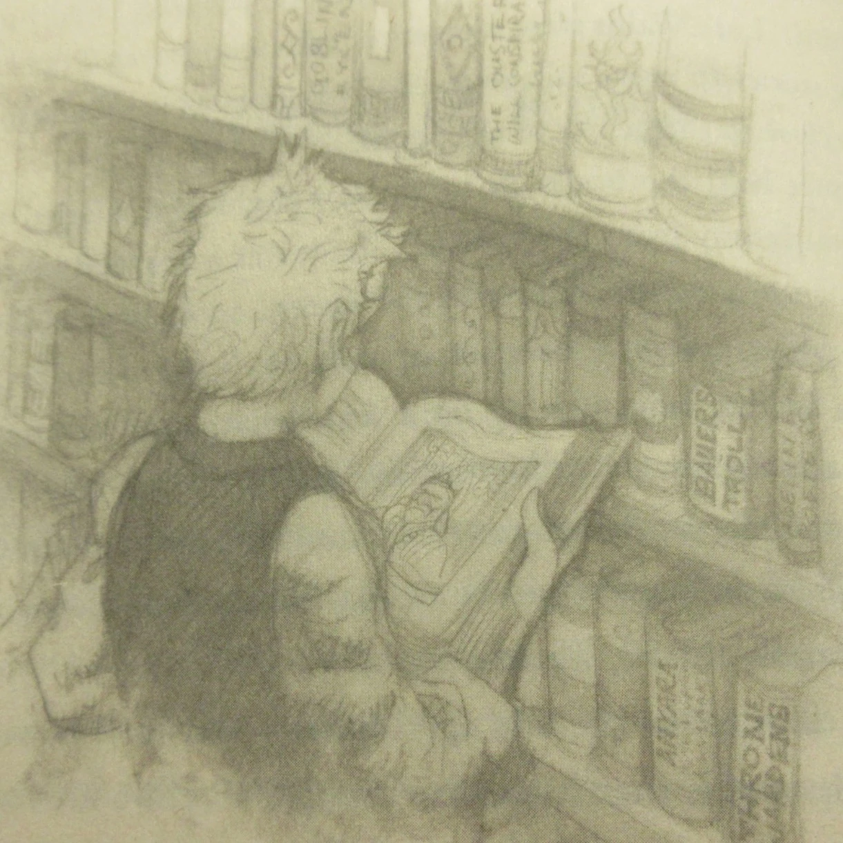 Category:Characters | Wingfeather Saga Wiki | Fandom