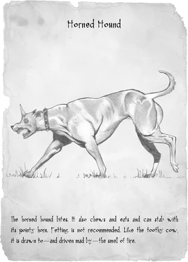 The Gully Rim | Wingfeather Saga Wiki | Fandom