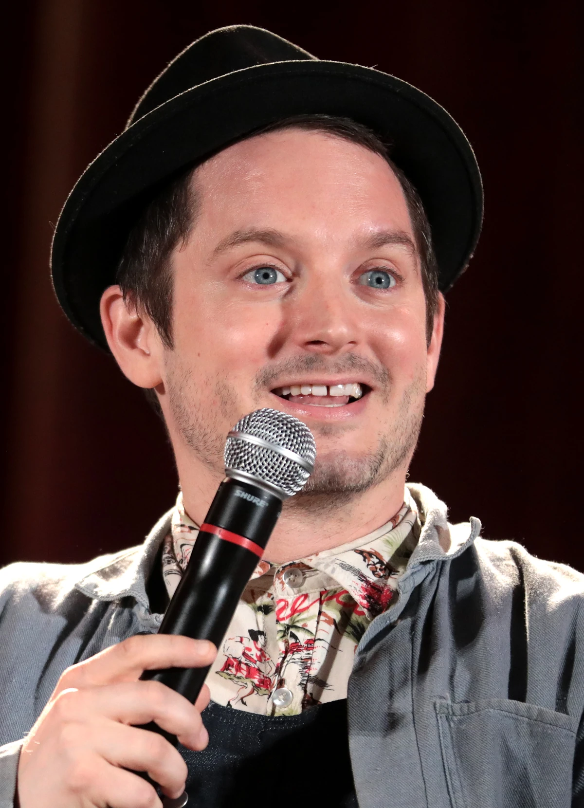 Elijah Wood | WingNut Films Wiki | Fandom