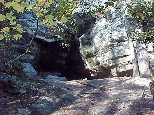 NightWing Cave | Wings of Fire Academy Wiki | Fandom