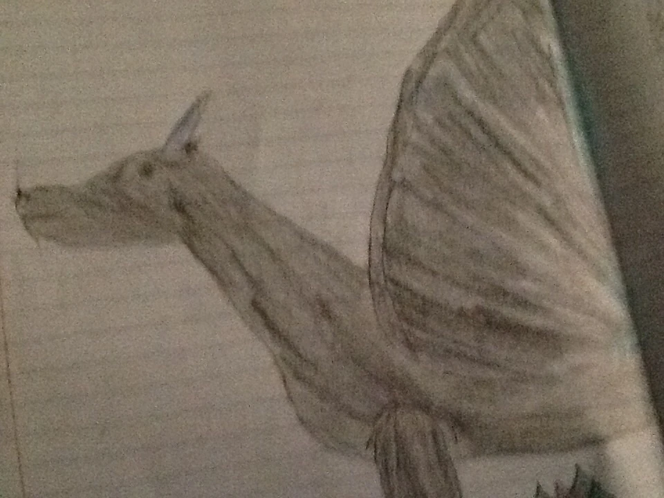 Moonwings | Wings of fire breeds Wikia | Fandom