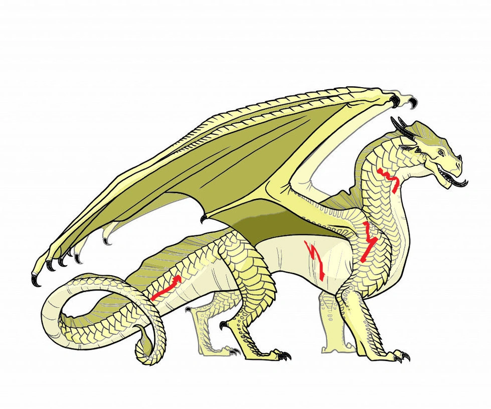 Burn | Wings of Fire Contributes welcome Wiki | Fandom