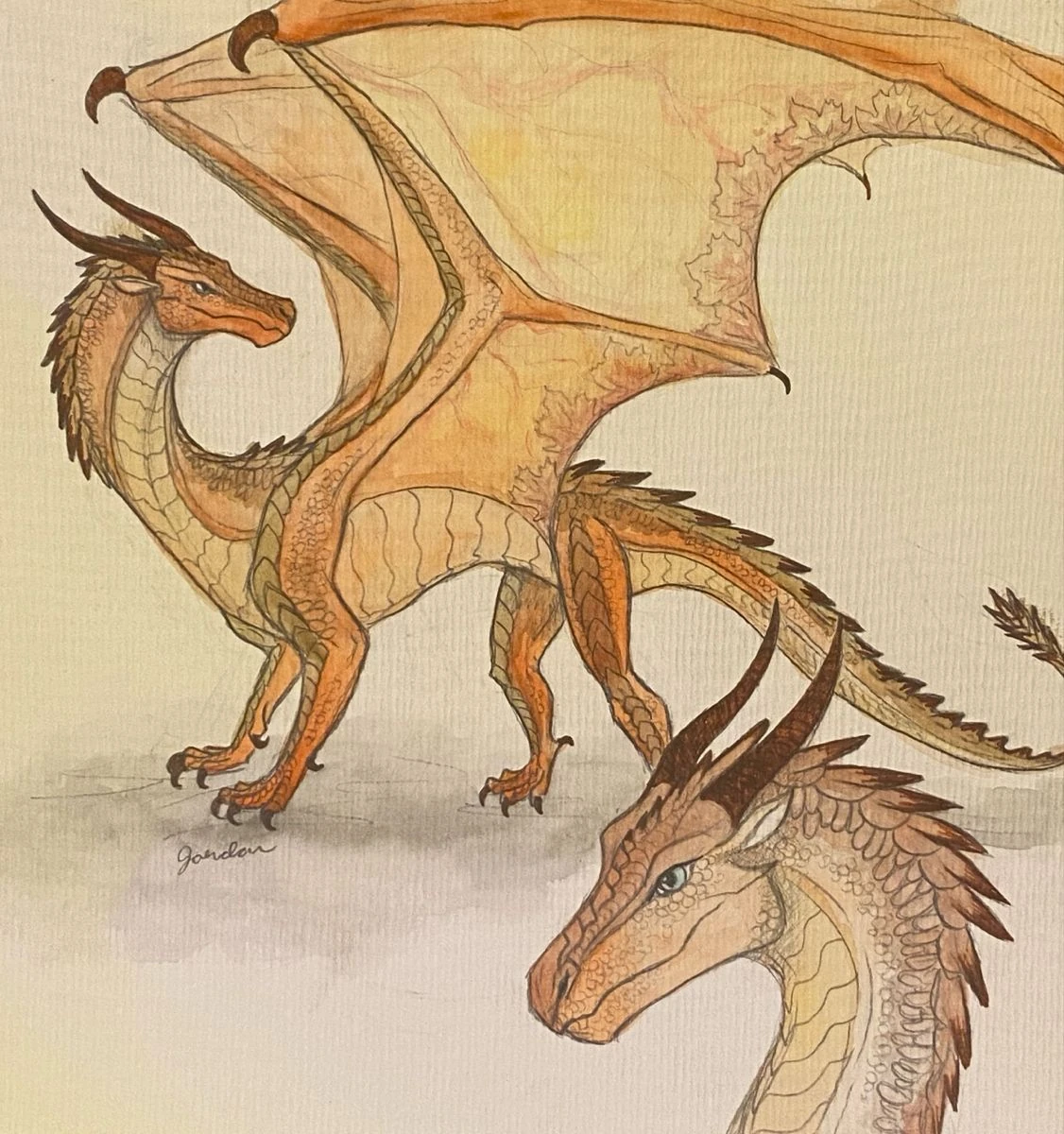 HarvestWings | Wings of Fire Fanon Tribes Wiki | Fandom