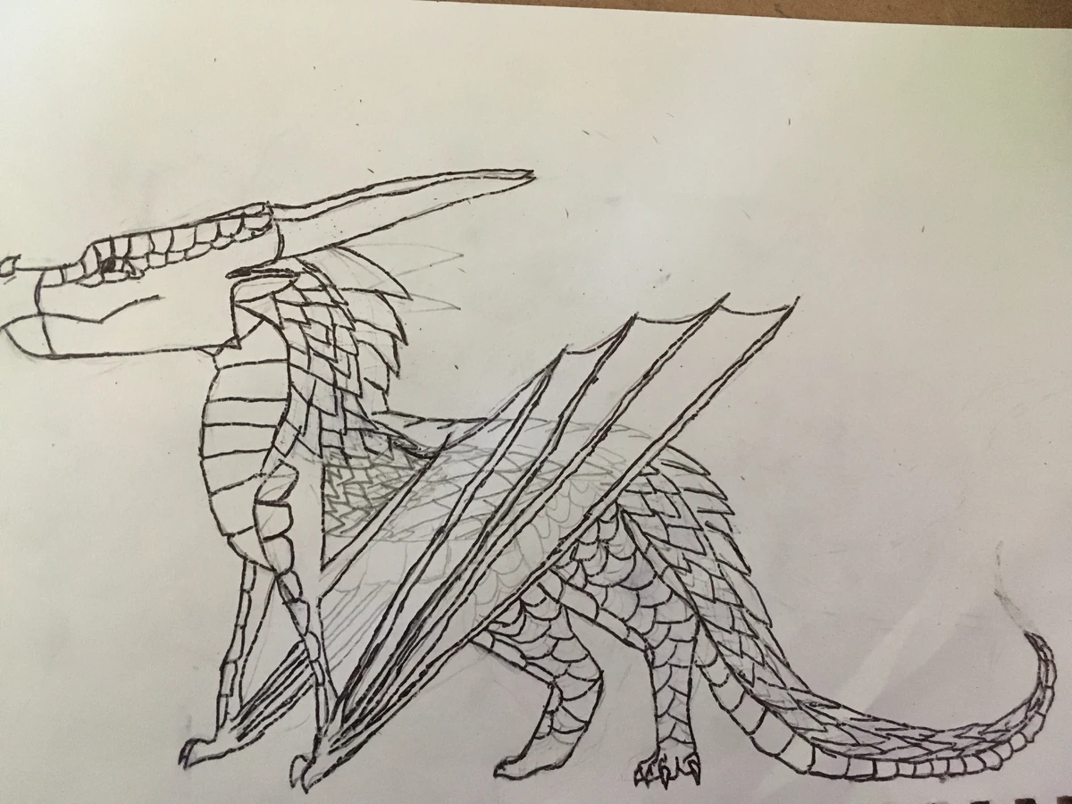 Wildwings | Wings of Fire Fanon Tribes Wiki | Fandom