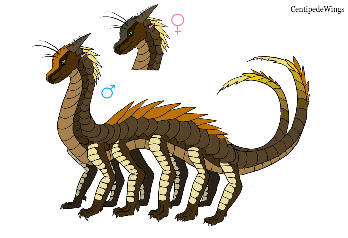 CentipedeWings | Wings of Fire Fanon Tribes Wiki | Fandom