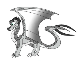 CopyWings | Wings of Fire Fanon Tribes Wiki | Fandom
