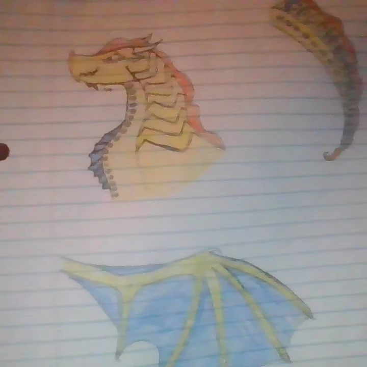 -BeachWings- | Wings of Fire Fanon Tribes Wiki | Fandom