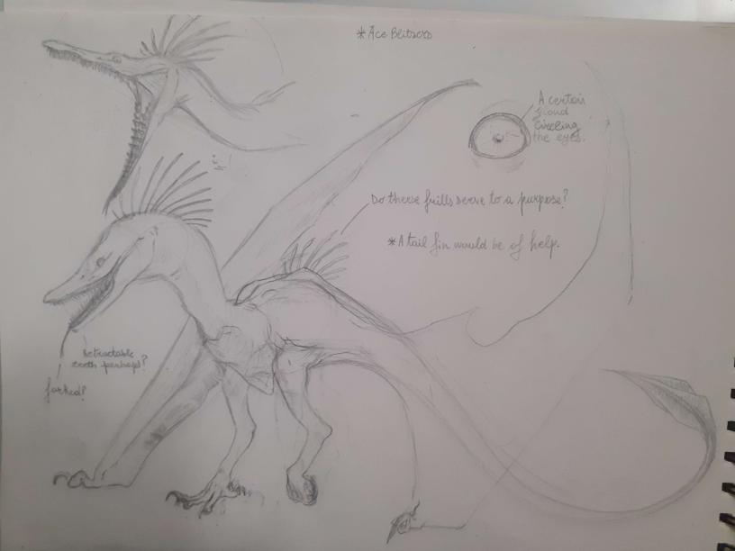 Blitzers | Wings of Fire Fanon Tribes Wiki | Fandom Blitzers | Wings of Fire Fanon Tribes Wiki | Fandom
