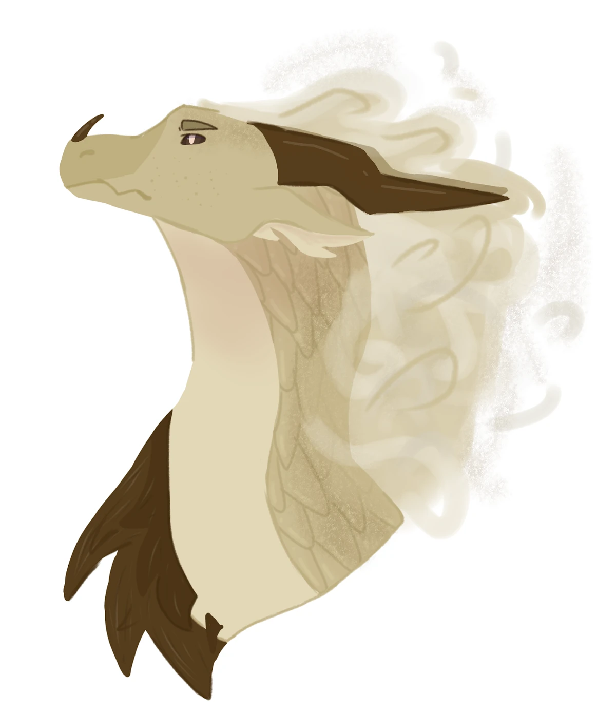 The SiroccoWings | Wings of Fire Fanon Tribes Wiki | Fandom