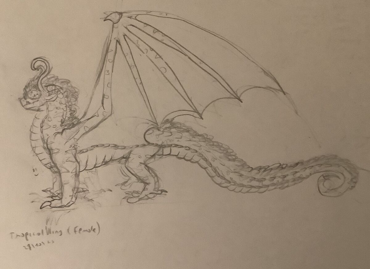 TropicalWings | Wings of Fire Fanon Tribes Wiki | Fandom