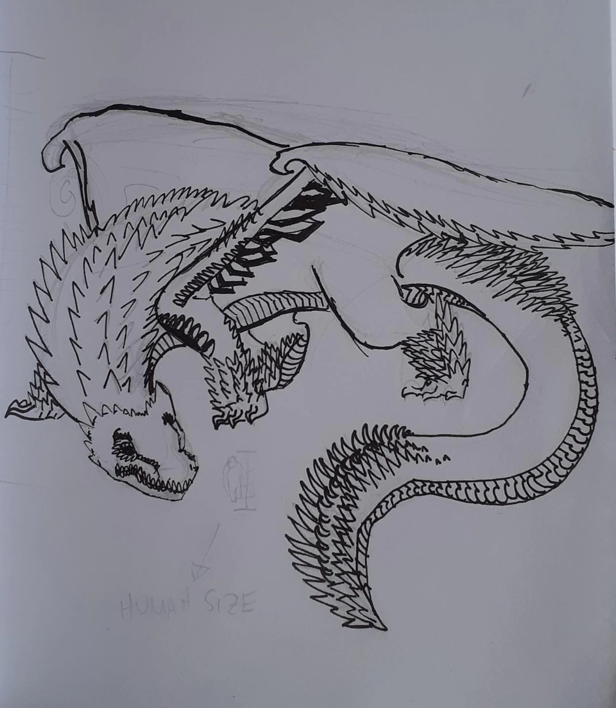 .LizardWings. | Wings of Fire Fanon Tribes Wiki | Fandom