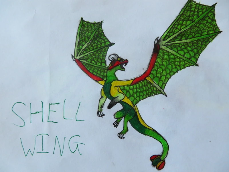 ShellWings | Wings of Fire Fanon Tribes Wiki | Fandom