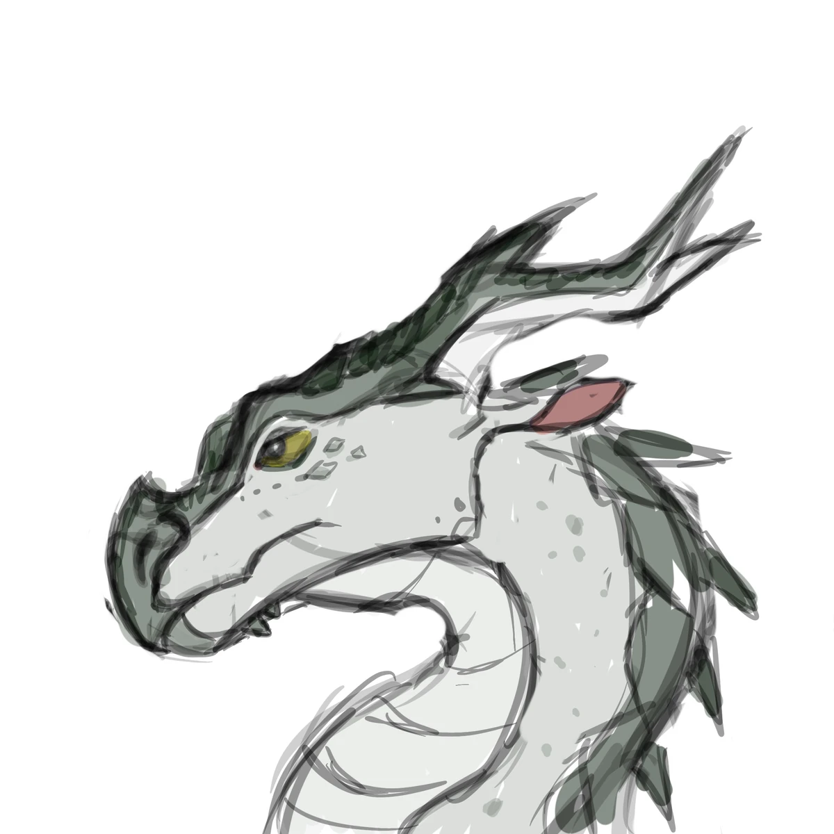 LightWings | Wings of Fire Fanon Tribes Wiki | Fandom