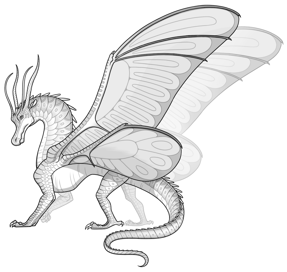 Argus | Wings of Fire Ignian Wiki | Fandom