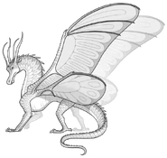 Pantala | Wings of Fire Names Wiki | Fandom