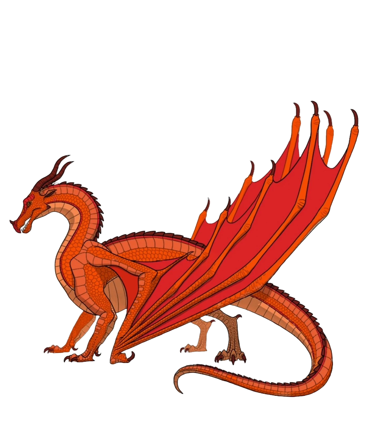 Category:SkyWings | Wings of Fire Worldbuilding Wiki | Fandom