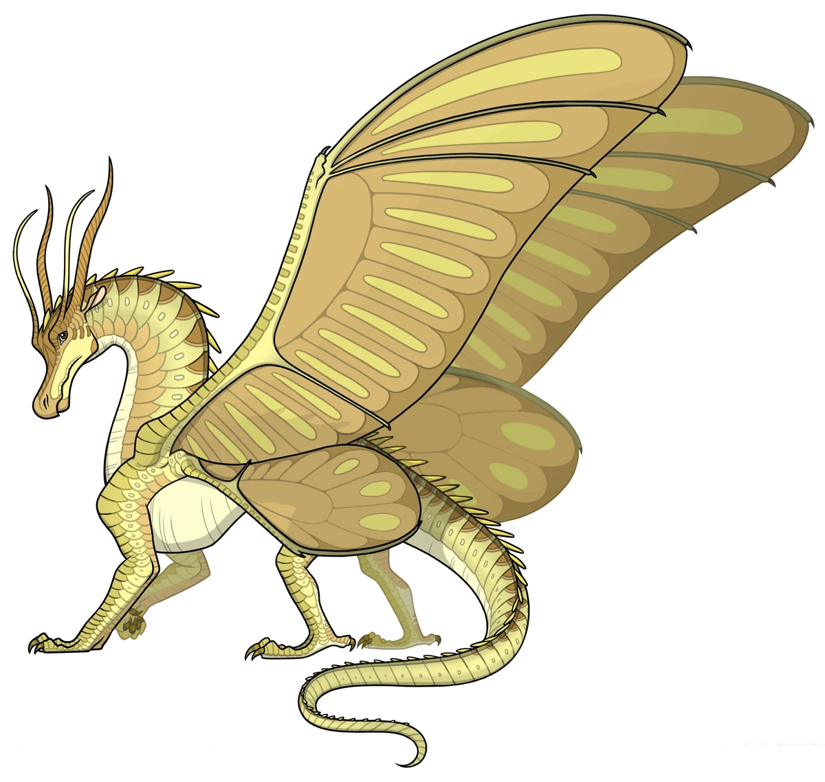 Tau | Wings of Fire Wiki | Fandom